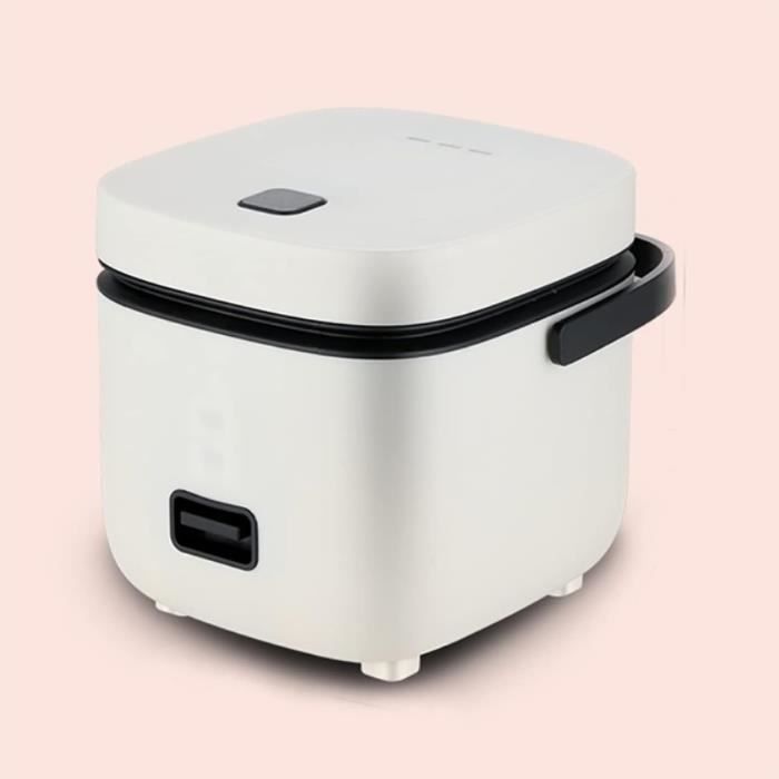 Cuiseur A Riz Electrique Marmite Multifonction Portable Et Cuiseur ...