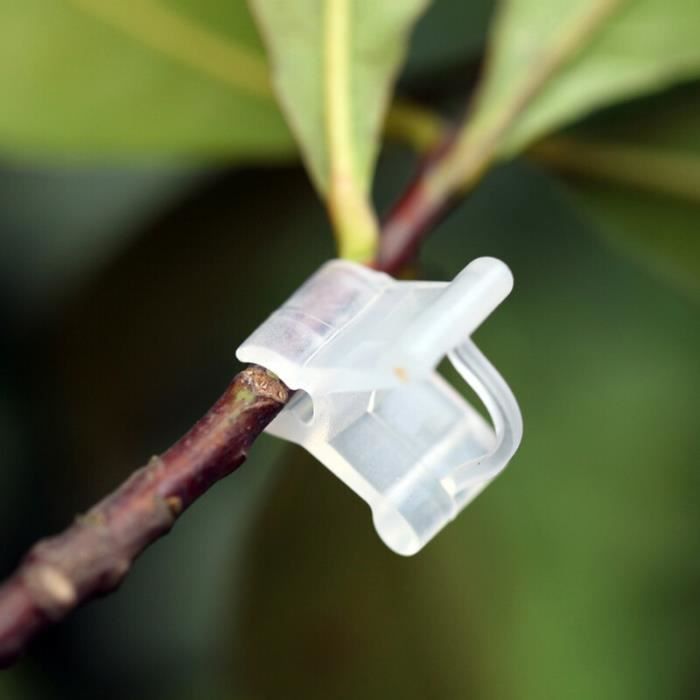 Outils de jardinage - Tuteur Plante - Mini Clips de greffage en plastique - Pack de 20 pièces ...