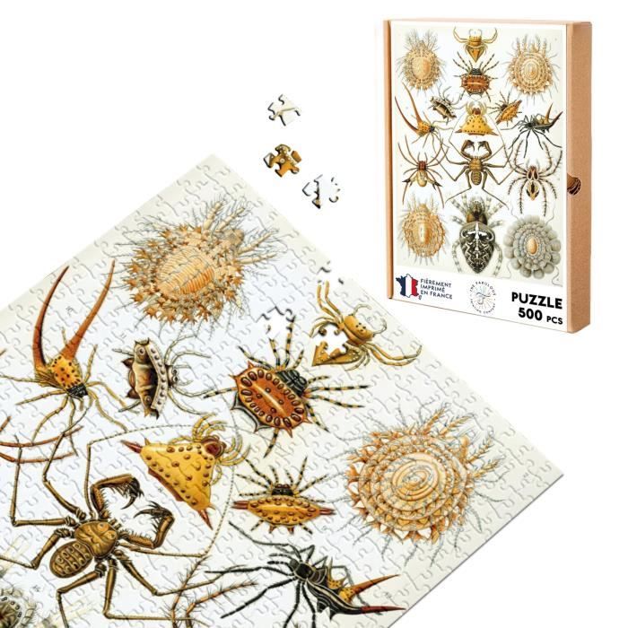 Puzzle Classique 500 pièces Araigne Insecte Gravure Ancienne Dessin ...