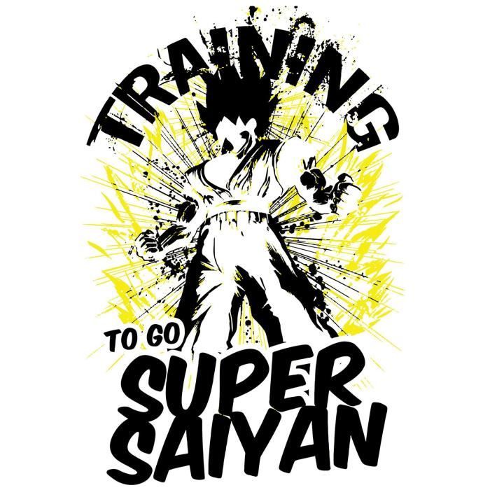 Poster Affiche Training Super Sayan Dragon Ball Z Dbz Goku Manga Anime ...