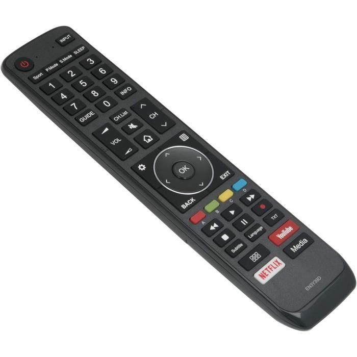 EN3Y39D Télécommande de Remplacement - Télécommande pour Hisense ...