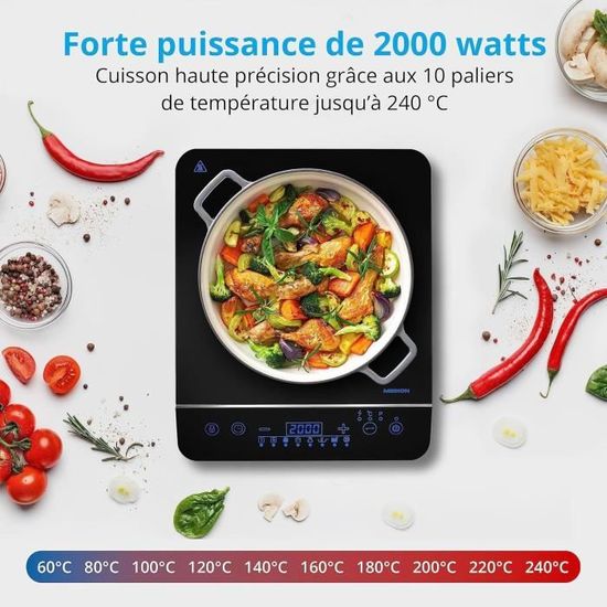 Plaque induction posable - MEDION - MD 17595 - 1 Feu - L 29 x P 36 cm ...