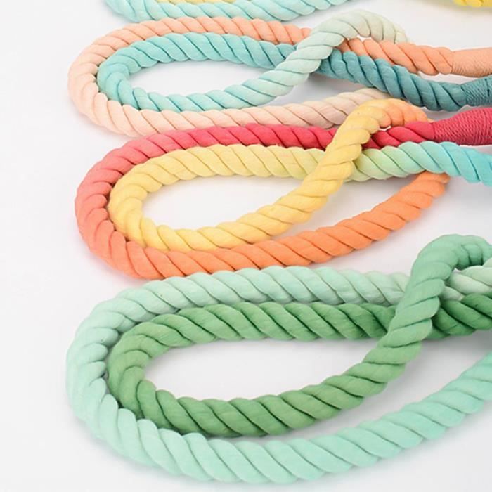 Gradient Rainbow Lead Rope Wear-resistant Braid Cotton Long Leashes Dog ...
