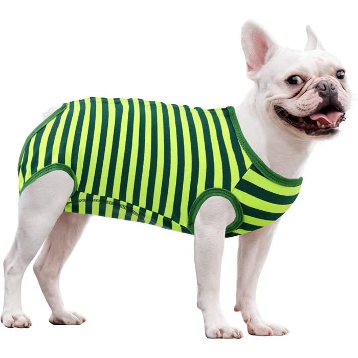 Collerette Pour Chien - Body Après Stérilisation Post Opératoire ...