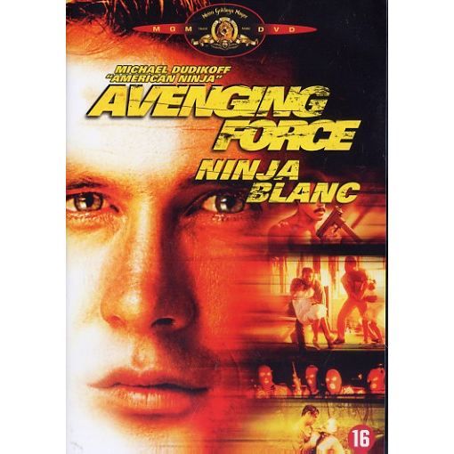 AVENGING FORCE - Cdiscount DVD