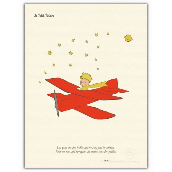 Posters et affiches - Poster affiche d'art Oneart (Le Petit Prince en ...