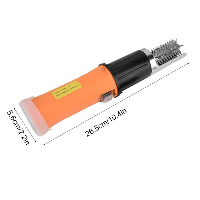 Écailleur de poisson électrique Éplucheur de Légumes à Asperges en Acier Inoxydable, épaisseur ...