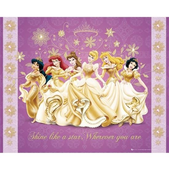 DISNEY PRINCESSE - Poster Shine - 40 x 50 cm - Cdiscount Maison