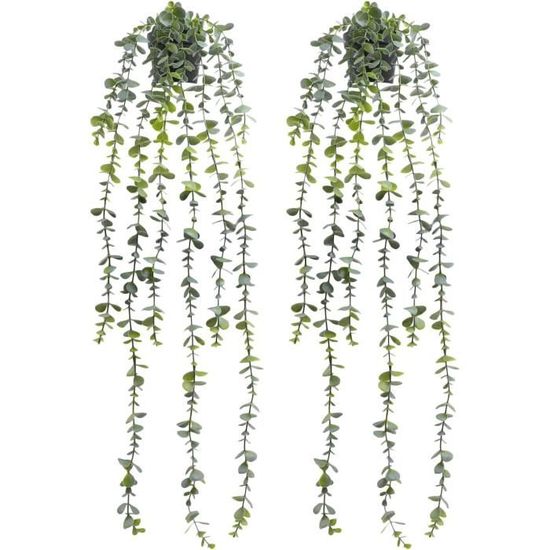 Sitemapcdatahttpsshopinf Inetcomfausses Plantes Tombantes