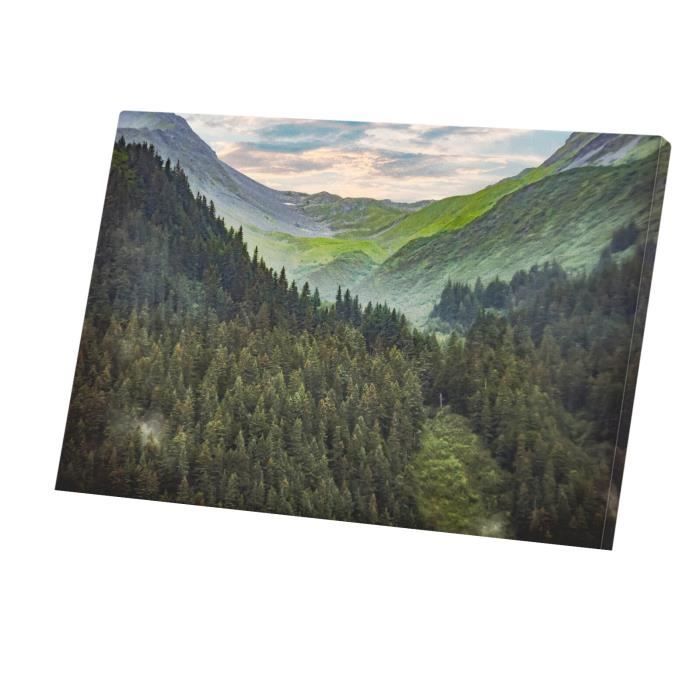 Tableau Décoratif Vallée Couverte de Pins dans la Montagne Soleil ...