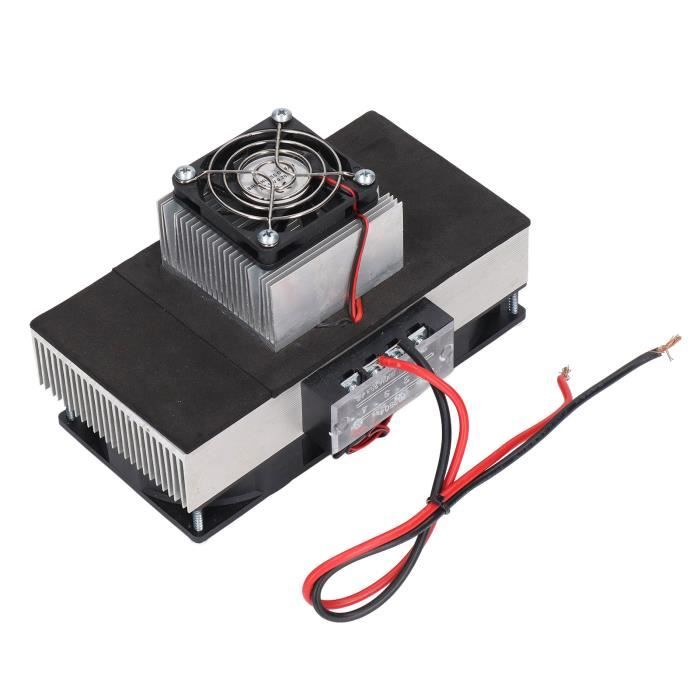 Refroidisseur à semi-conducteur 12V refroidisseur de Machine de ...