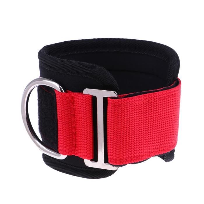 Exercice Fitness D-ring Cheville Sangles D'ancrage Ceinture équipement ...