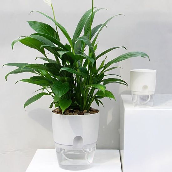 ESTINK Lot de 3 pots de fleurs auto-arrosants double couche, idéal pour ...