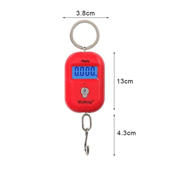 Mini Balance numérique Portable suspendue de 25kg,valise de voyage ...