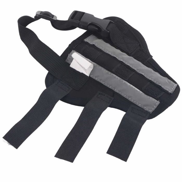 Drfeify Attelle de jambe arrière de chien Dog Hind Leg Brace Support ...