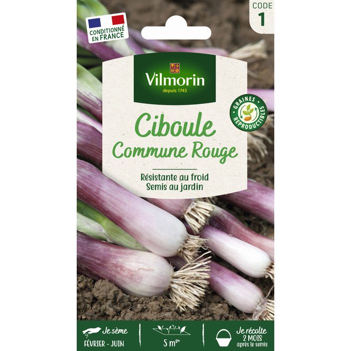 Ciboule Commune Rouge - Cdiscount Jardin