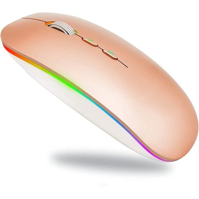 Souris Bluetooth LEDSouris sans Fil Rechargeable (BT5.1 + 2.4G), DPI ...