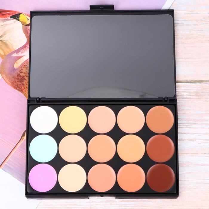 15 couleurs De Correcteur Avec Une Brosses Maquillage PINCEAUX DE ...
