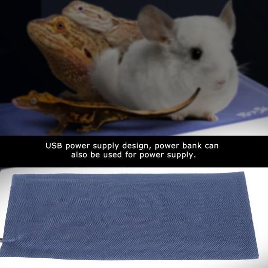 CHN Peluche Four Seasons Interface de charge USB Couverture électrique ...