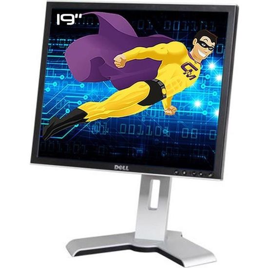 Ecran Plat PC 19" DELL 1908FPc 0G439H LCD TFT VGA DVI 4xUSB-A 1xUSB-B ...
