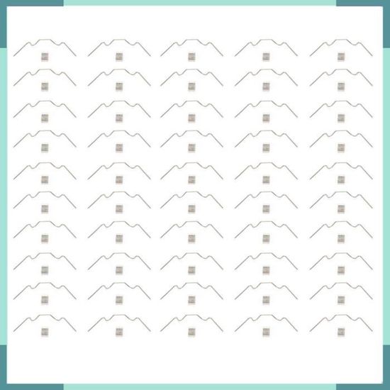 VBESTLIFE 100pcs Clips de Fixation pour Serre en Acier Inoxydable Z et ...