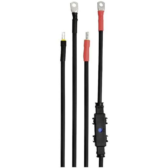 IVT Jeu de câbles DSW-Serie 1.00 m 25 mm² 431002 convient pour le ...