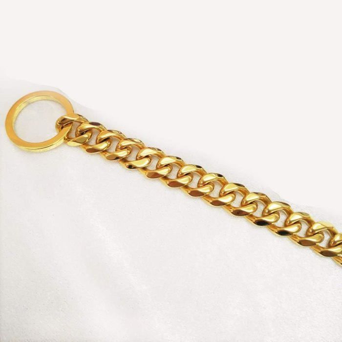 Collier De Dressage De Chien Collier En Métal Forte Chaîne Collier ...