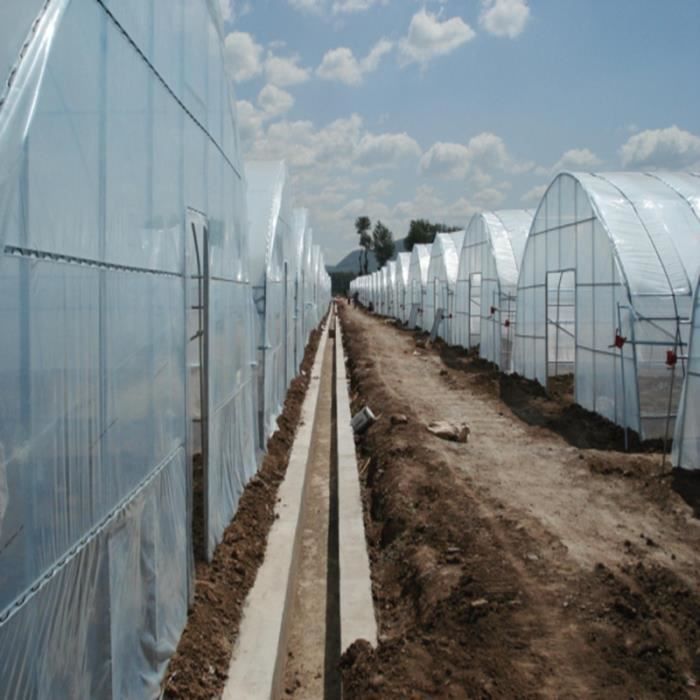 Film de Serre Agricole - TarLII - 3mx3m - Transparent - HDPE ...