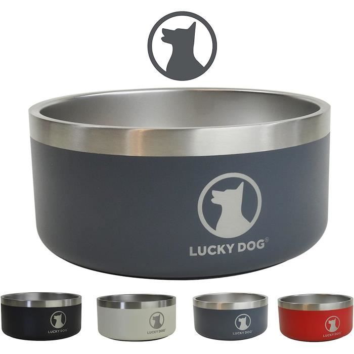 Gamelle pour Chien Design - Double paroi en Acier Inoxydable - Anti ...