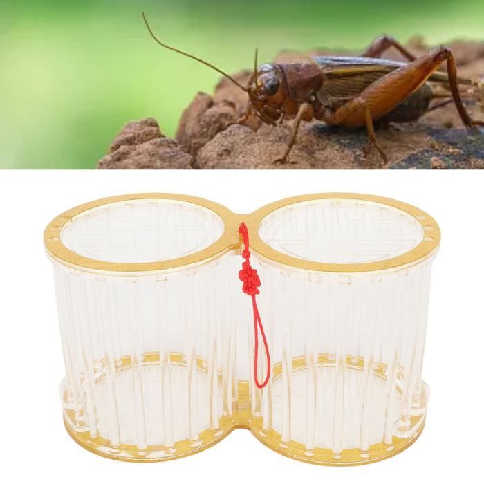 VGEBY Cage à insectes circulaire en acrylique, idéale pour élever et ...