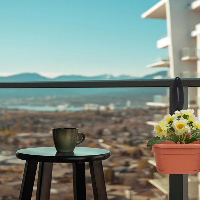 Crochets muraux fonte colibri pour plantes suspendues, jardinières ...