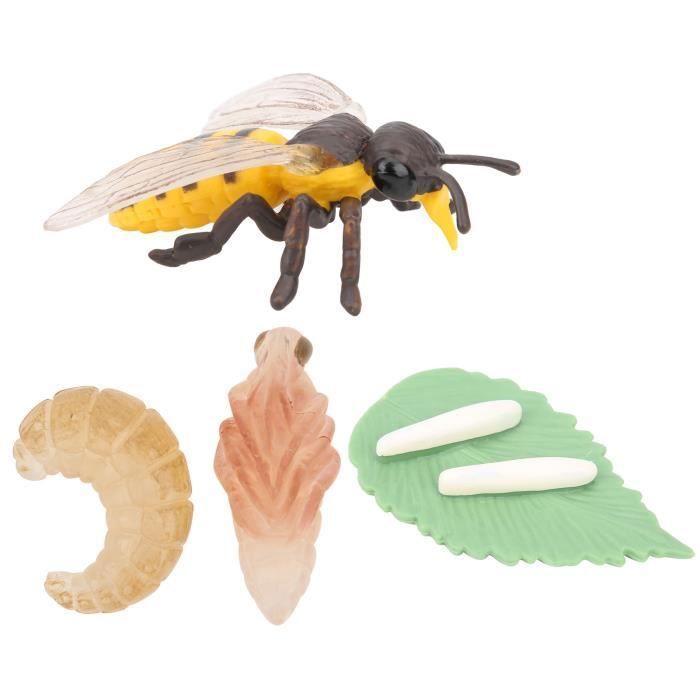 Jouet - SHIPENOPHY - Modèle d'Insecte Cycle de Croissance - Abeille de ...