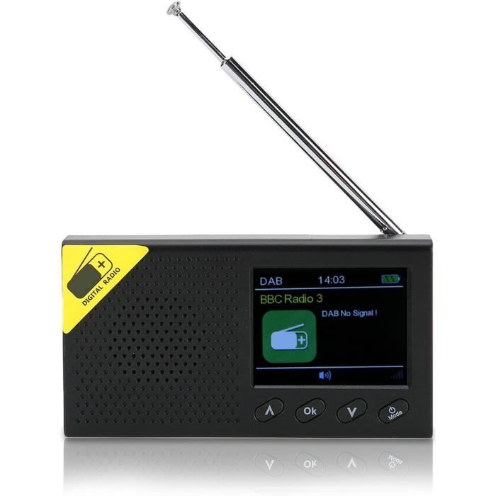 Radio Fm Internet Portable, Radio Numérique Sans Fil 1200 Mah Pour Dab ...