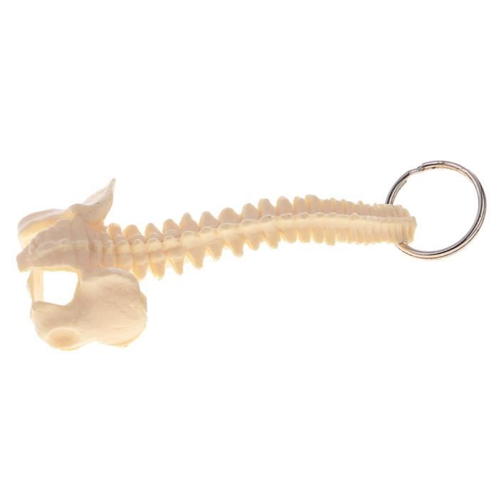 Stylish Handmade Spine Backbone Skeleton Style Keychain Keyring ...