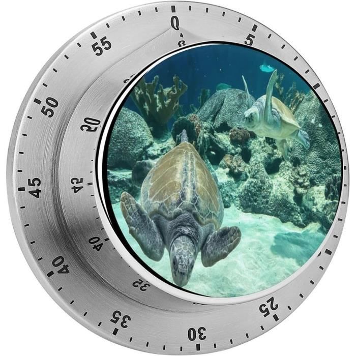 Time Timer, Turtle Reef (4) Compte À Rebours Silencieux, Outil De ...