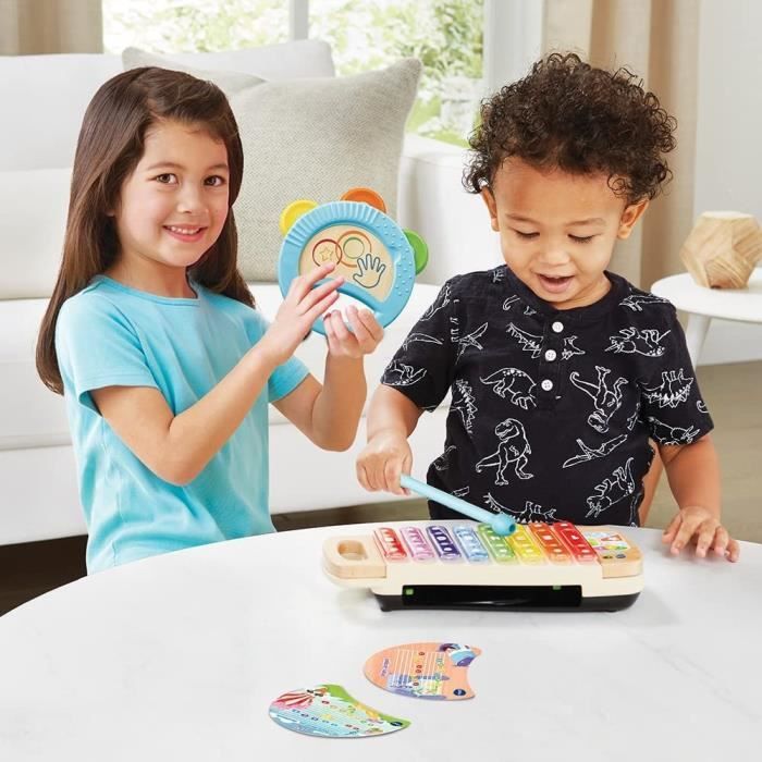VTECH BABY - Play Green - Xylo-Tambourin Lumi Magique (Jouet Bois FSC ...