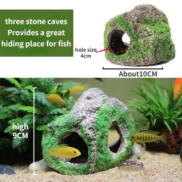 FOND DE DECOR,C--Décorations'aménagement paysager pour Aquarium ...