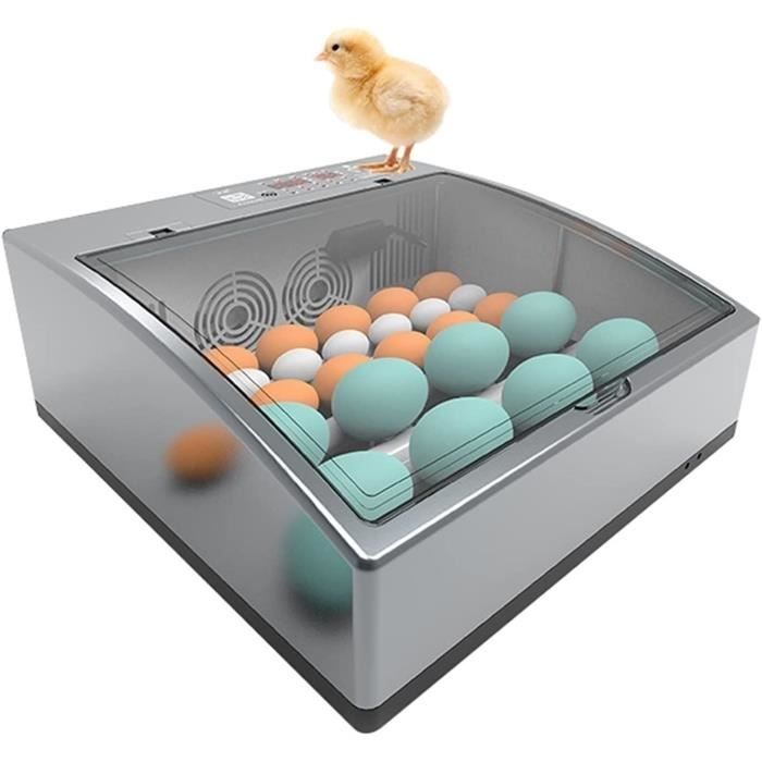Couveuse Automatique Incubateur à Oeufs,24 Oeufs Incubateuravec ...