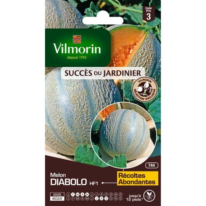 VILMORIN Sachet graines de Melon DIABOLO - Cdiscount Jardin
