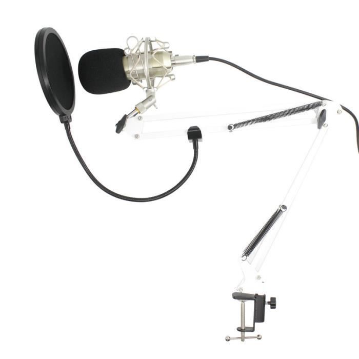 Service à champagne-Microphone de Studio professionnel à condensateur ...