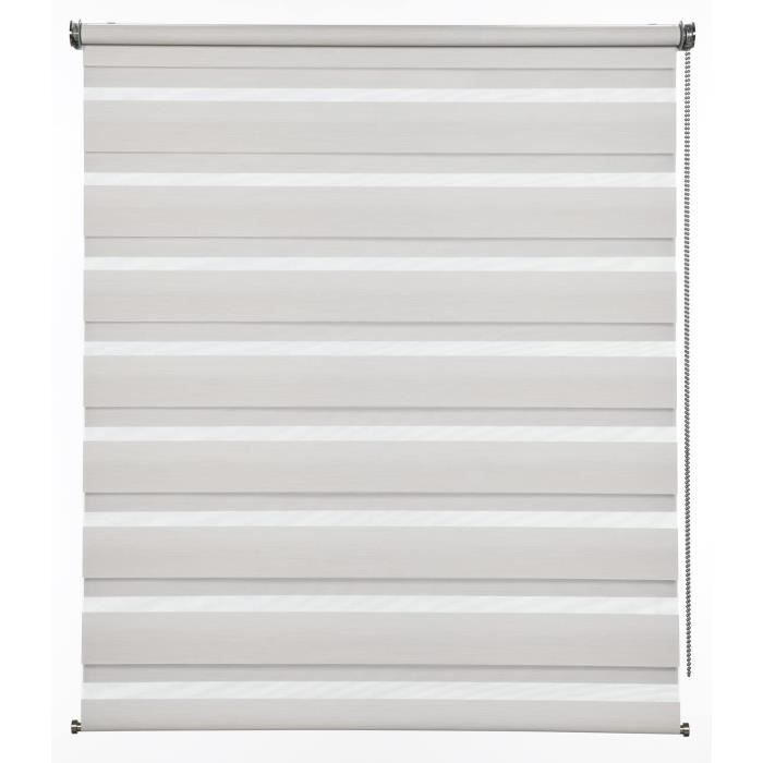 Store Enrouleur Double De Luxe, Montage Au Plafond-Mur, Store Double ...