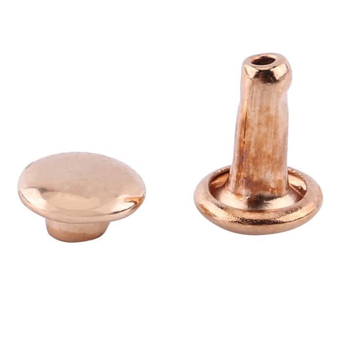 GOTOTOP Rivets à pointes de goujon 100pcs Double Cap Rivet Tubulaire ...