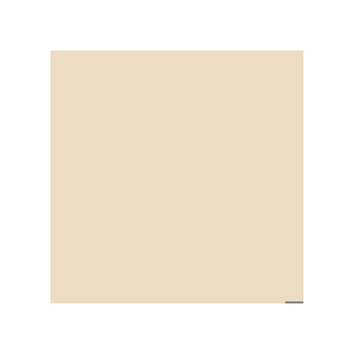 PEINTURE Teinte Beige Ivoire murale naturelle écologique aspect mat ...
