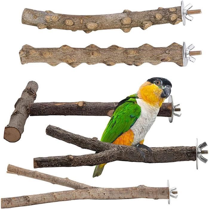 Perchoirs Pour Cages À Oiseaux - Kit Cage Bois Naturel 5pcs Plate-forme ...