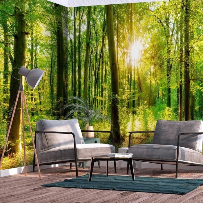 Papier Peint - Intissé - Mural Foret - 350x250 cm - Tissu de soie ...