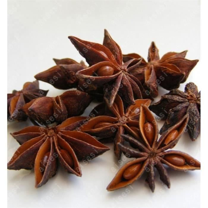 Bonsaï 20 Pièces-Sac Étoiles Anis Arbre Plantes Illicium Verum Légume ...