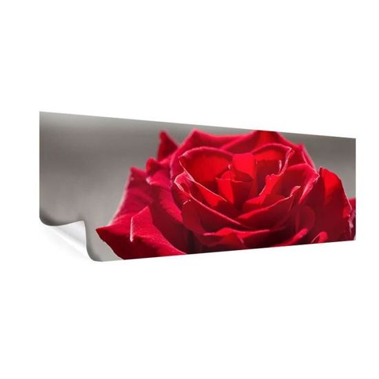 Poster Panoramique Roses rouges 90 x 30 cm - Cdiscount