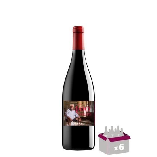 CASTELMAURE scv - AOP Corbières - vin rouge - 6 X 400 coups 2020 - La ...