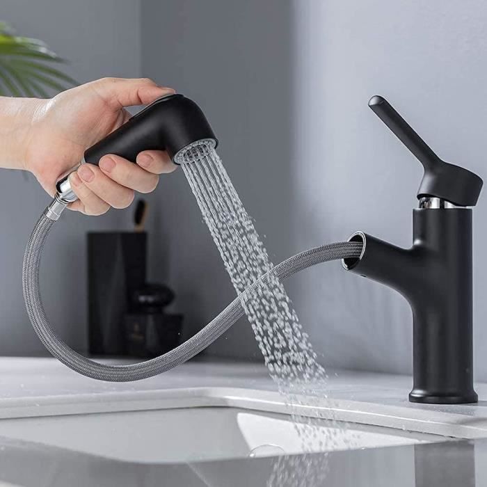 Robinet De Lavabo Avec Douchette Extensible, 2 Modes D'Écoulement Aux ...