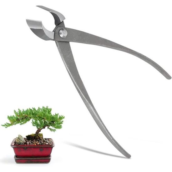 Coupe-Bonsaï Concave, Branch Cutter, Main Bonsaï Cutter Branche Cutter ...